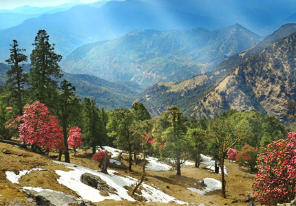 Best of Kumaon Hills, Kumaon Hill Stations Tour Packages, Kumaon Tours